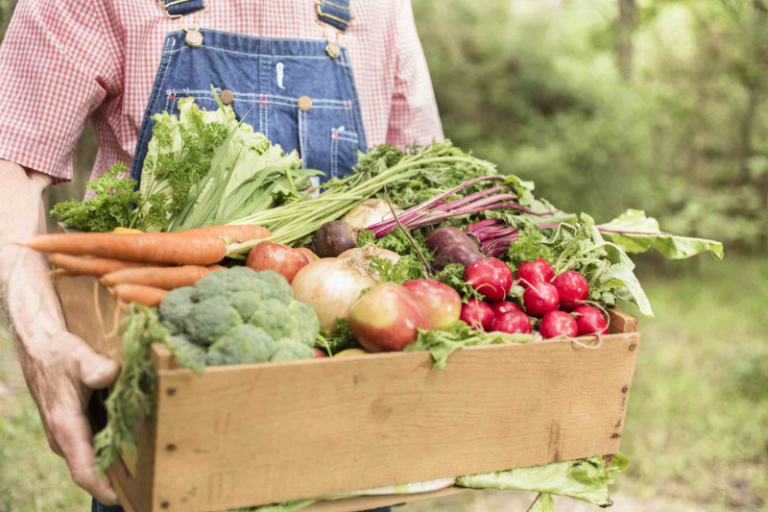 Local Environmental NGOs to Support in Malaysia to Lower Your Carbon ...